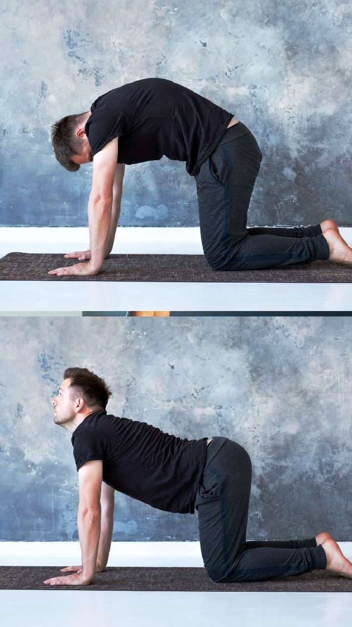 how to do marjaryasana bitilasana | Fitcozi